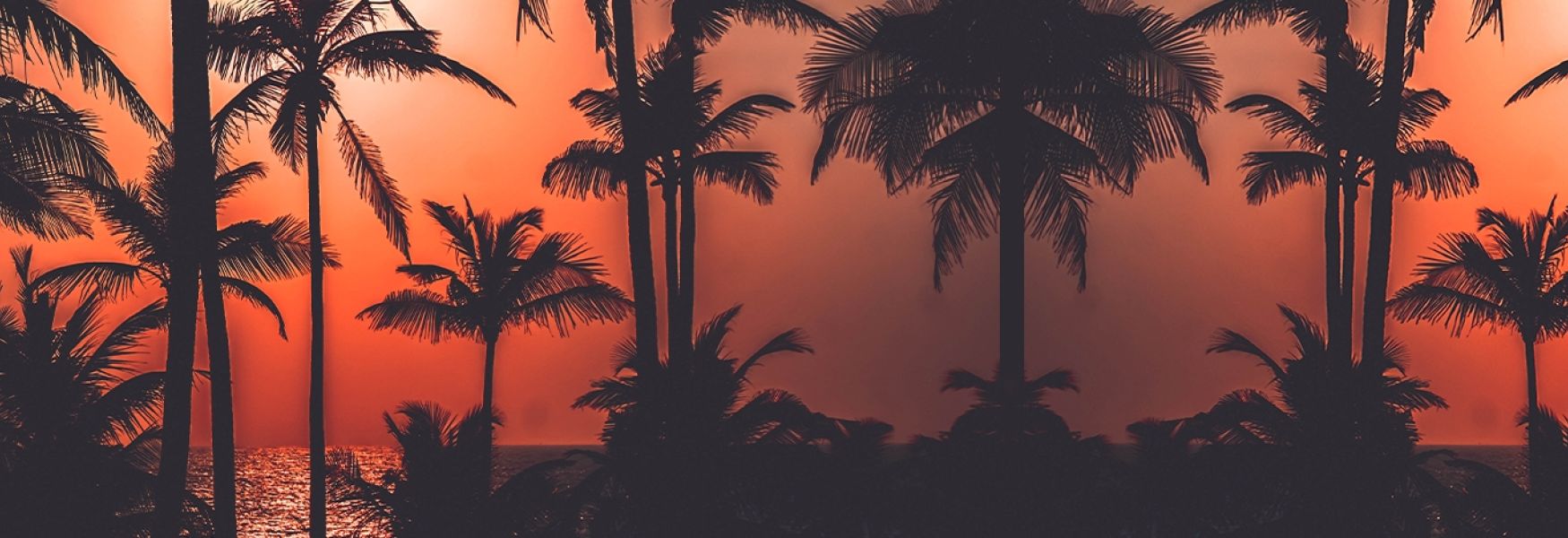 CISSOID will be at APEC 2024 | CISSOID